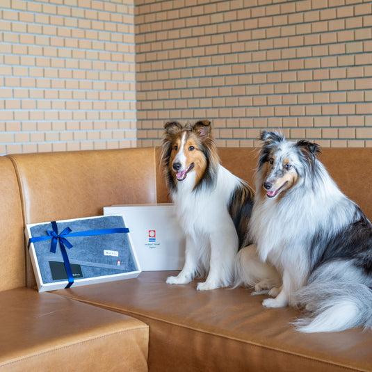 Wuff & Co | Official HP – Wuff&Co